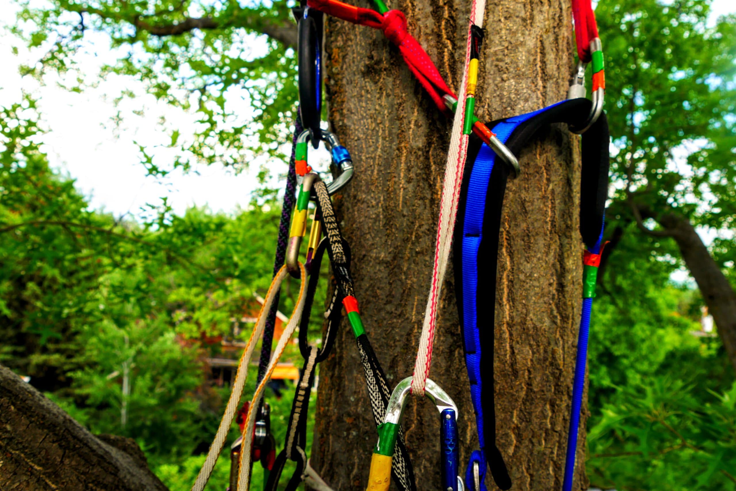 Tree Climbing Gear - GripOutdoor.com